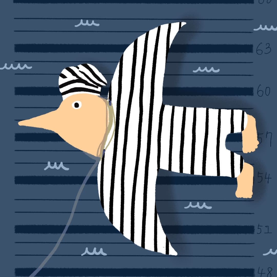 the imprisoned bird friesnshoes - Illustrations ART street