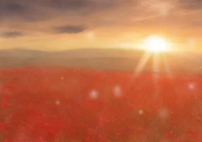 Crépuscule Sisi18 - 插畫 ART street