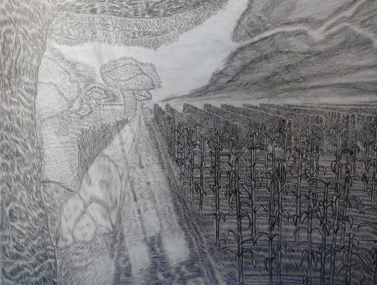 campo 2 Walku - Illustrations ART street