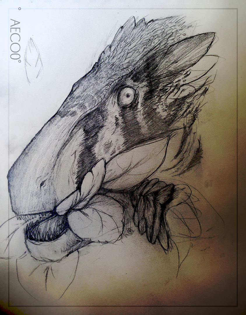 RAPTOR WIPP B> -AeCoO- - Illustrations ART street