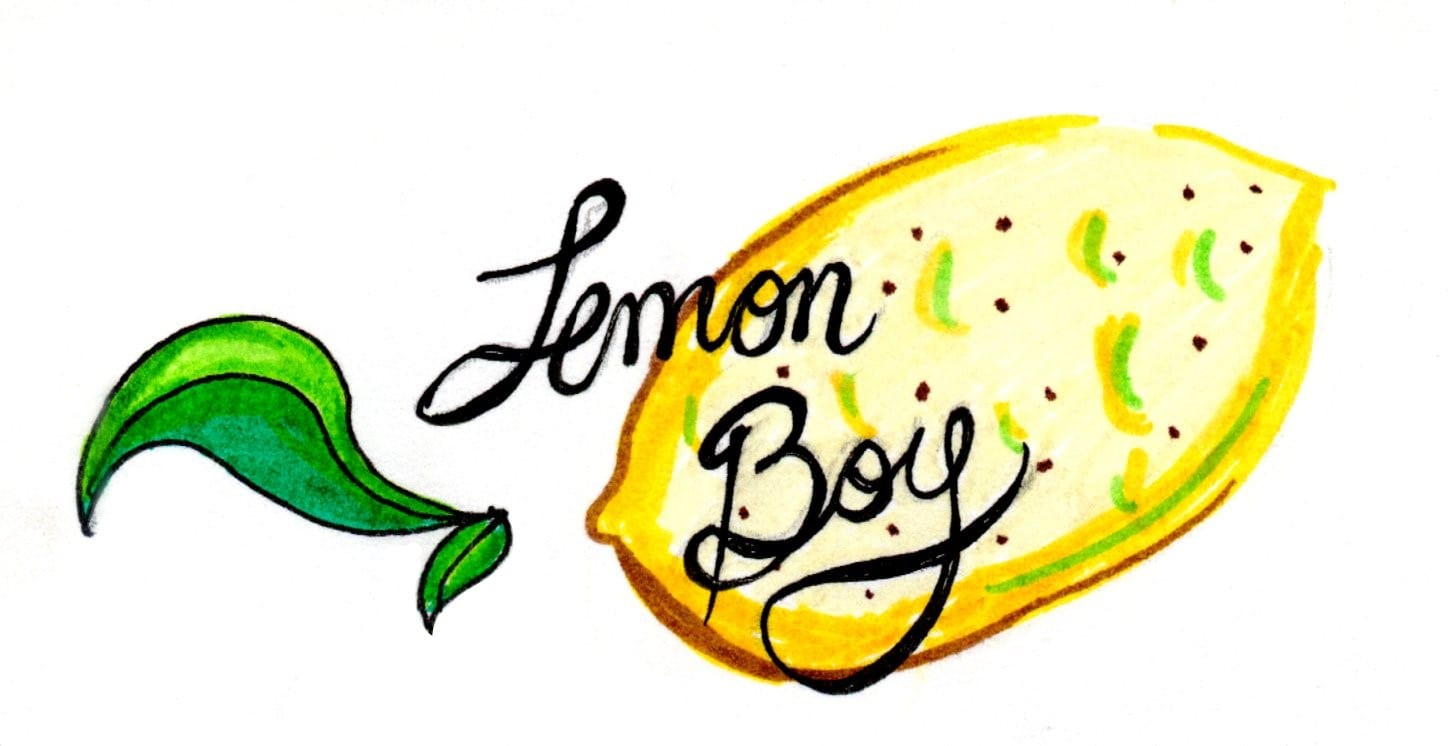 Lemon Boy :3 Salom - Illustrations ART street
