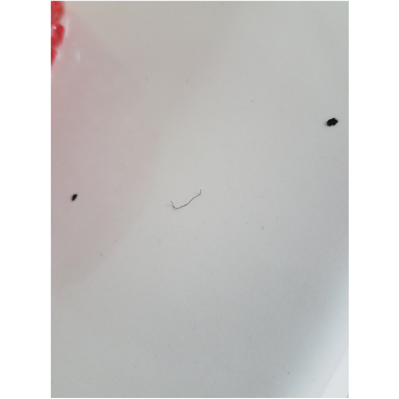 Derpy face Potato_ChipZ - Illustrations ART street