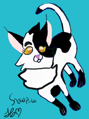 snowpaw silversparkle1234 - Illustrations ART street