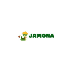 Jamona Info jamonainfo - Illustrations ART street