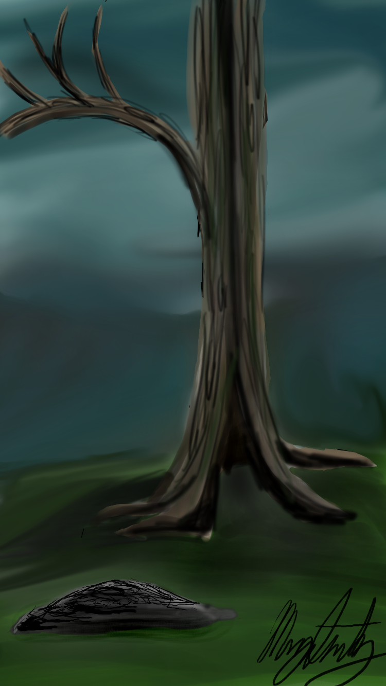 Old Tree Scenery Dude Charizard - Illustrations ART street