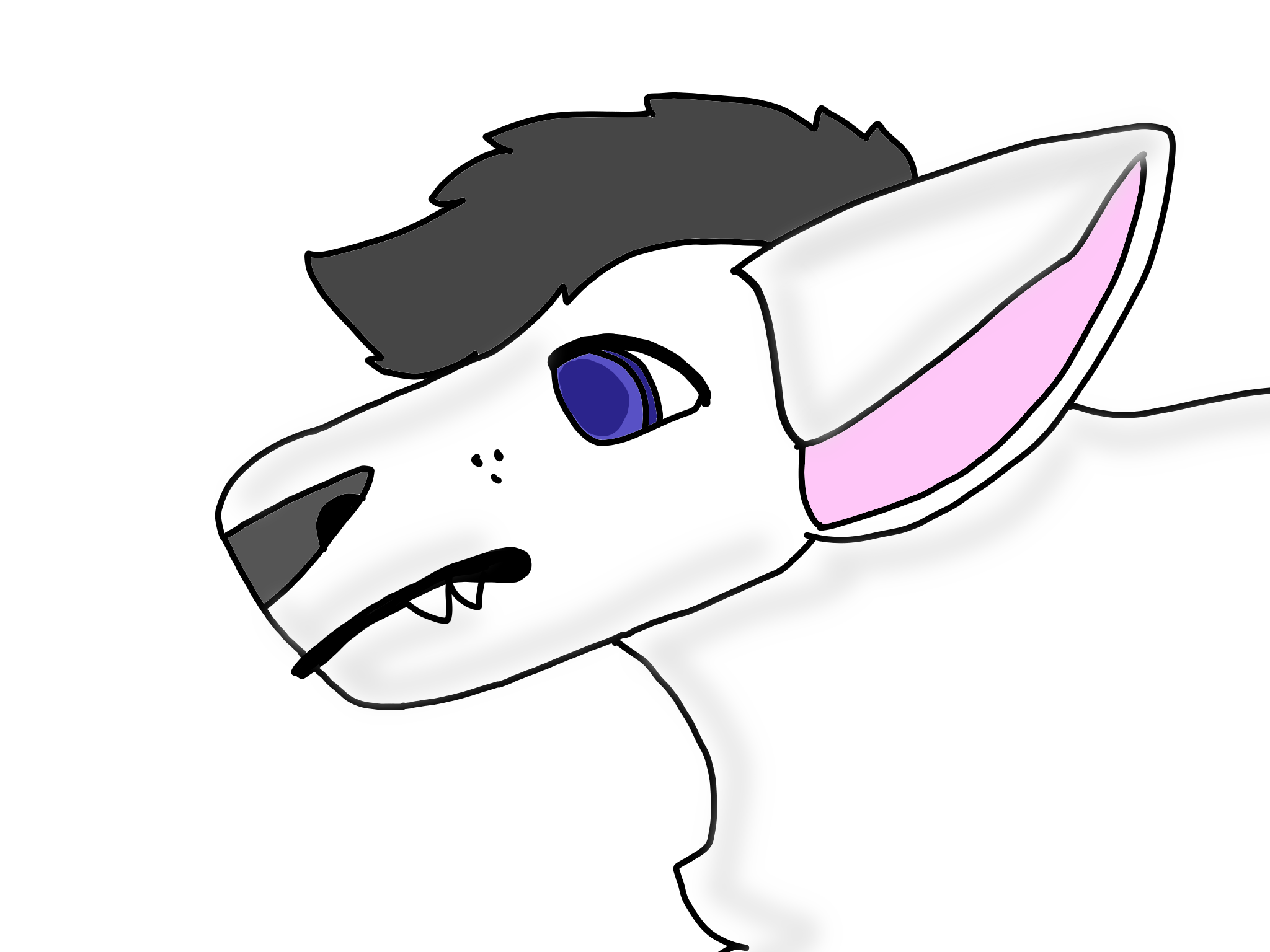 Dog boyo •superliminal• - Illustrations ART street