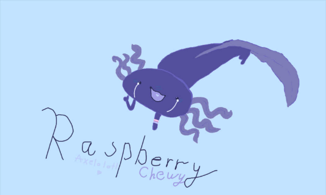 Raspberry Axolotl ᗪ乇卩尺乇丂丂乇ᗪ尺卂丂卩乃乇尺尺ㄚ - 插畫 ART street