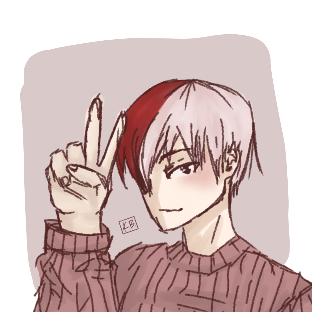 Shouto Todoroki!