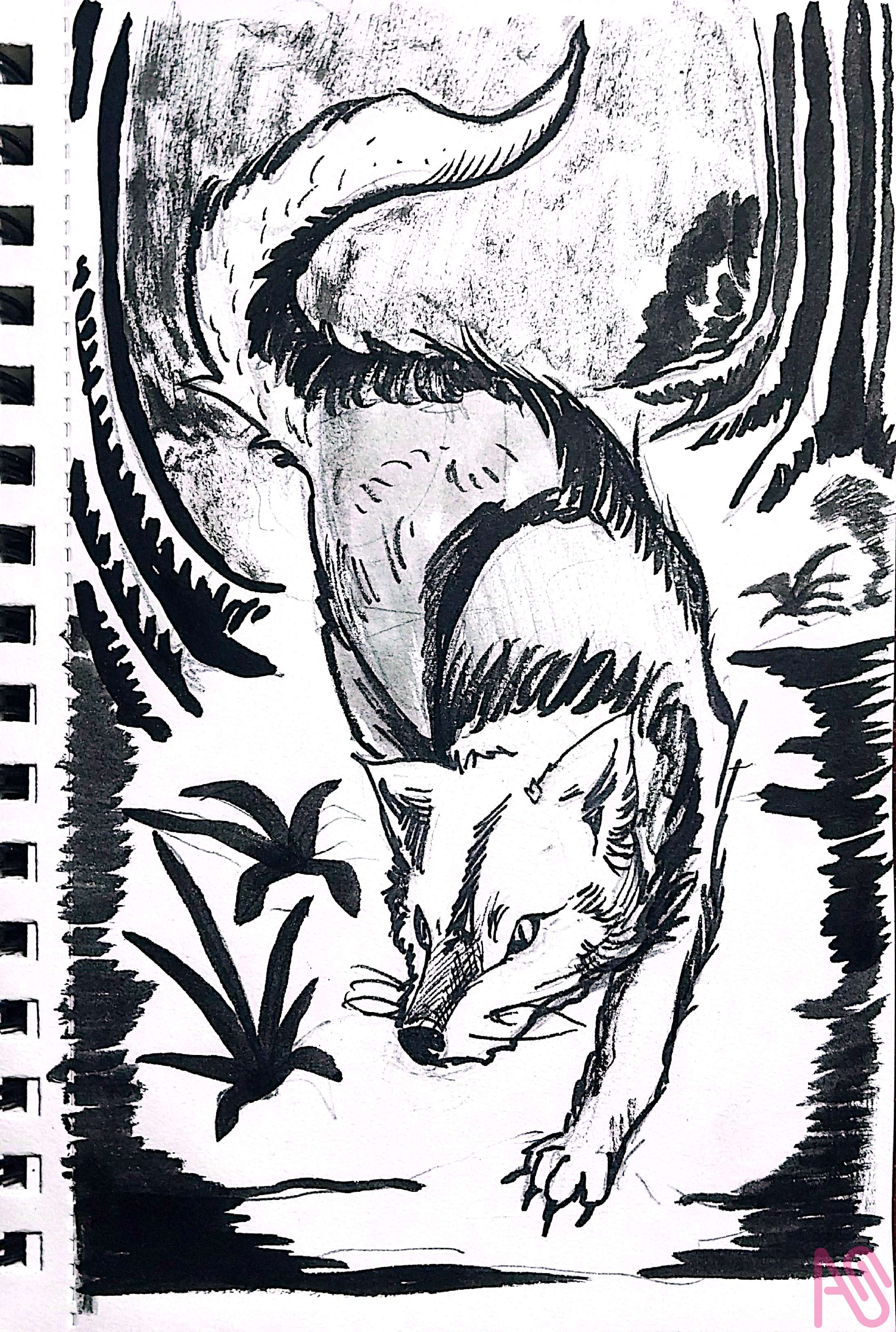 The wolf Jairu - Illustrations ART street