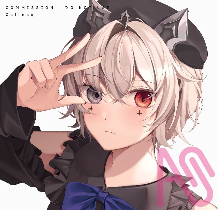 ️ Calinae - Illustrations ART street