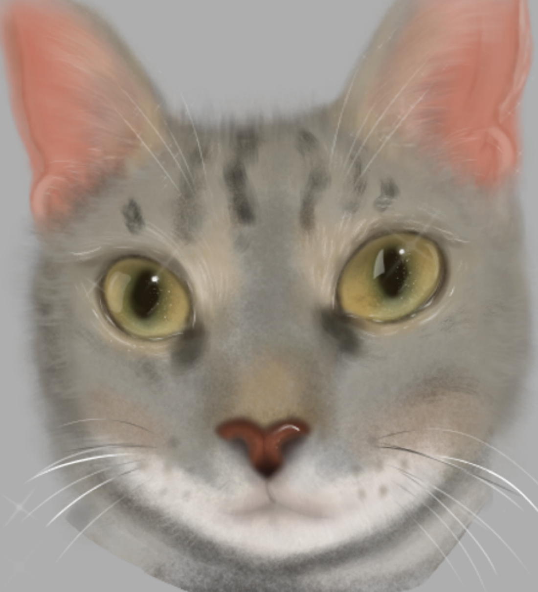 Nina Cat Georgy - Illustrations ART street