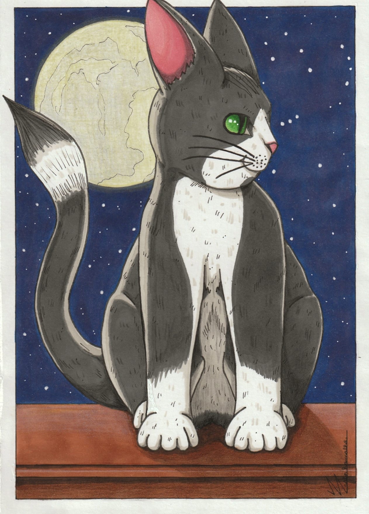 Brush tailed cat Marcos_ - Illustrations ART street