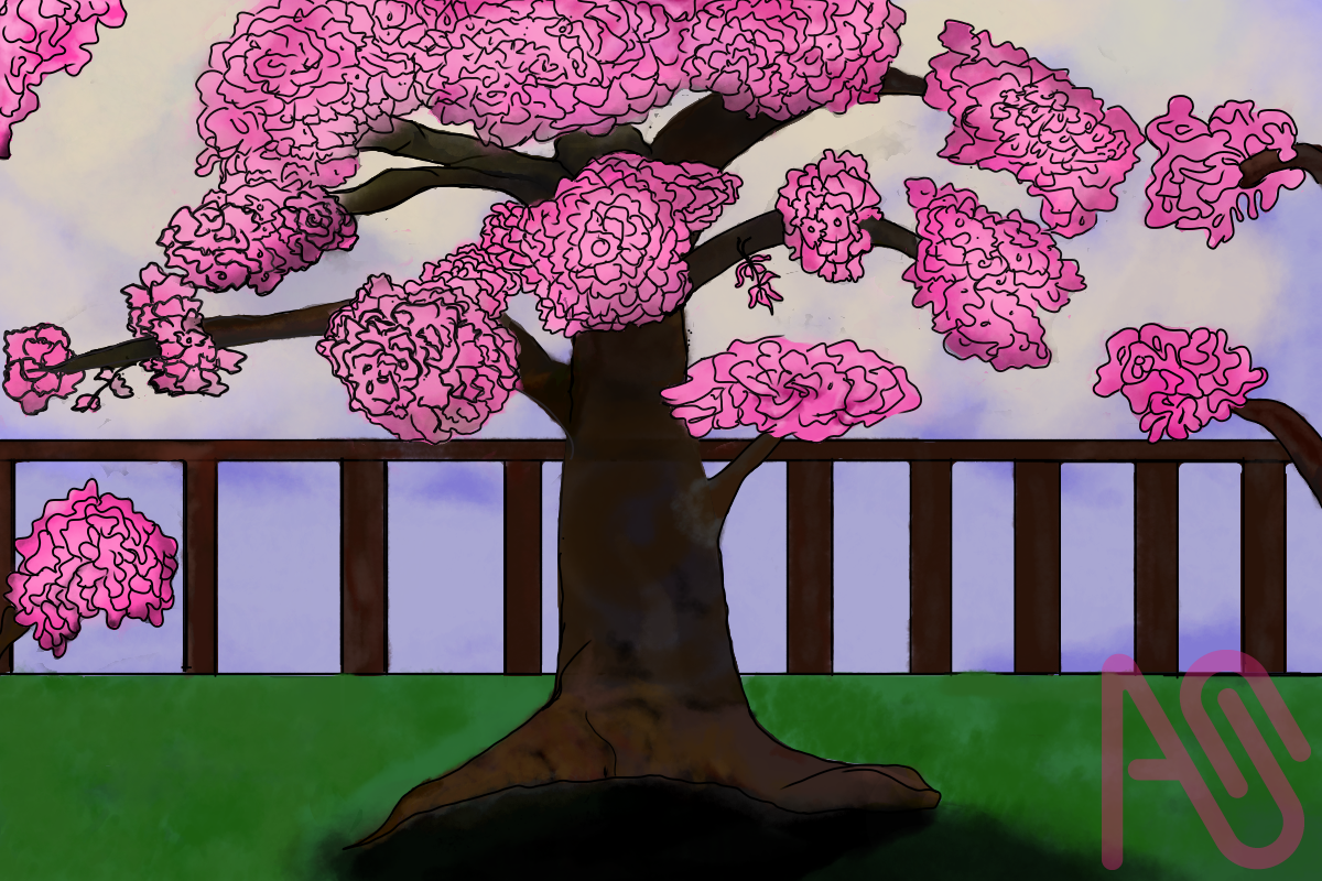 Sakura boy - Illustrations ART street