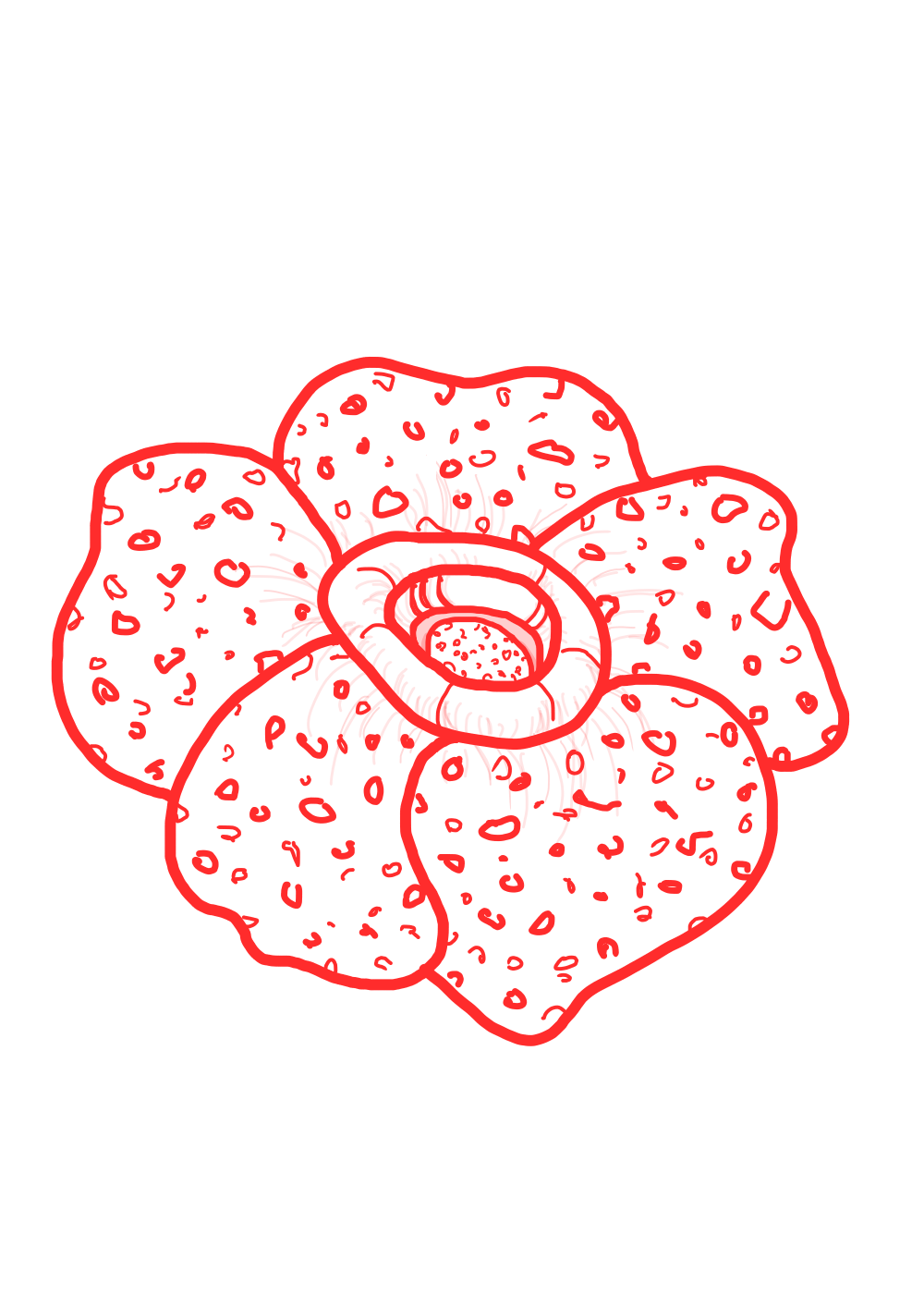 Animals and Plants / Rafflesia Ng Lei Yee - Illustrations ART street