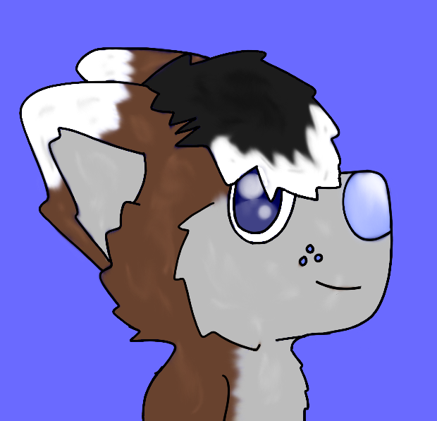 Dojeje The Wolf DojejeTheWolf - Illustrations ART street