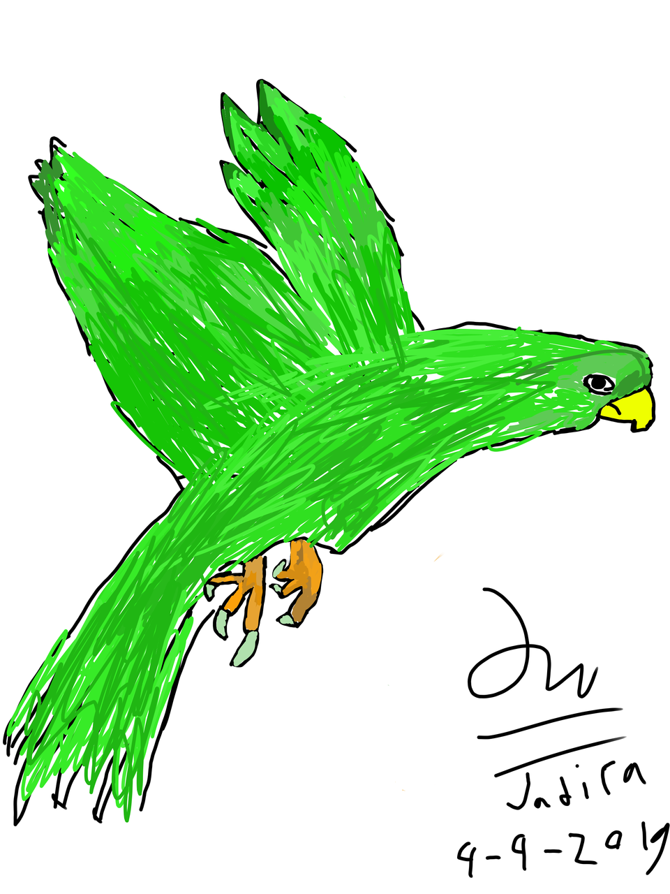 Green bird JECLIN - Illustrations ART street