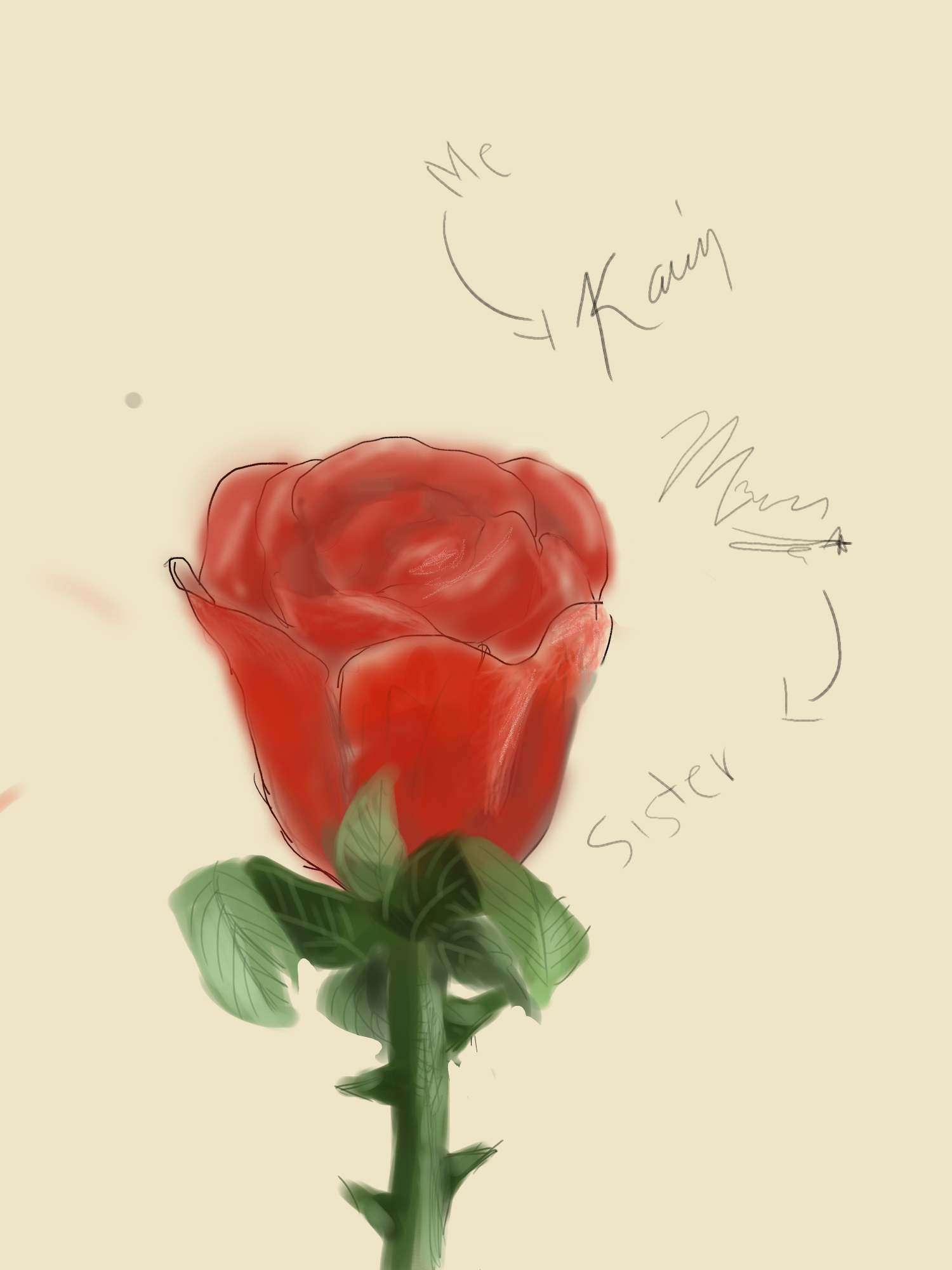 rose lg - Illustrations ART street