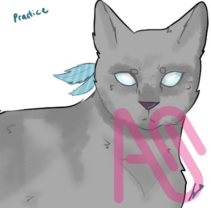 Jayfeather practice Hazzle_bazzle - Illustrations ART street