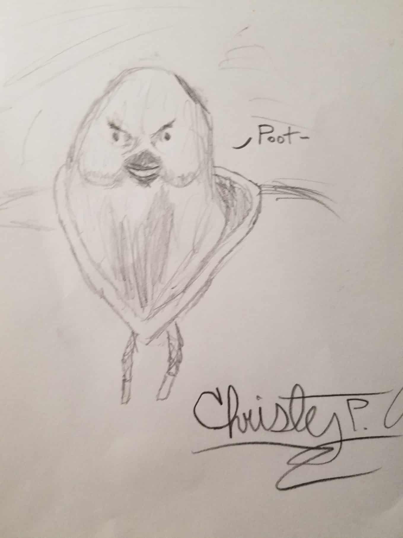 Pootis Bird LonliGrayWoolf - Illustrations ART street