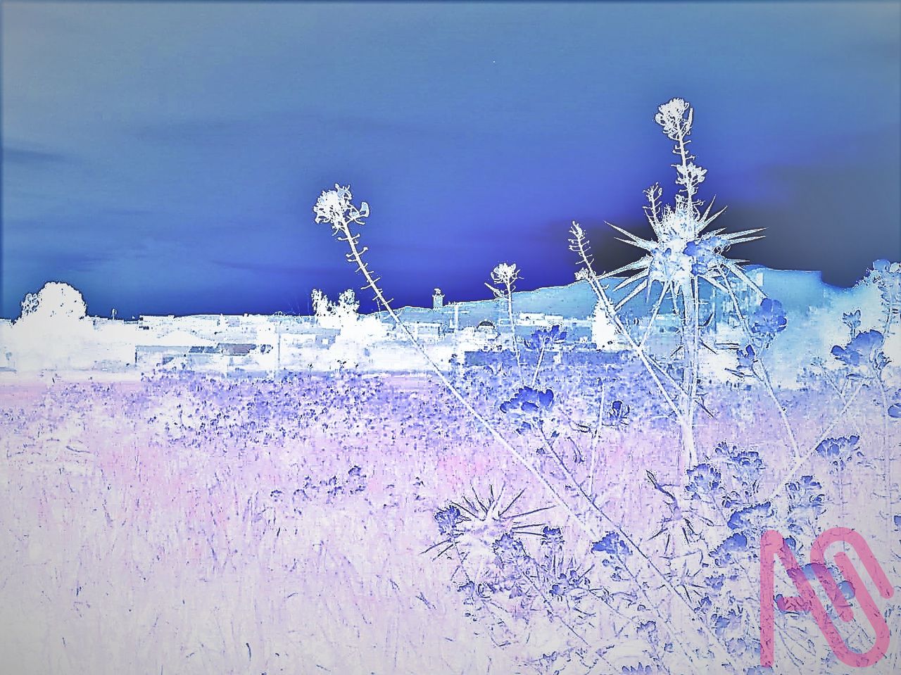 Untitled Hamza Cherifi はむざ - Illustrations ART street