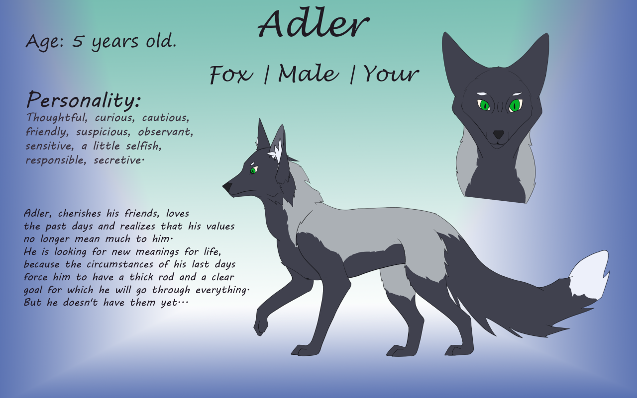 Adler's main character sheet Adler Foxs - 插图 ART street