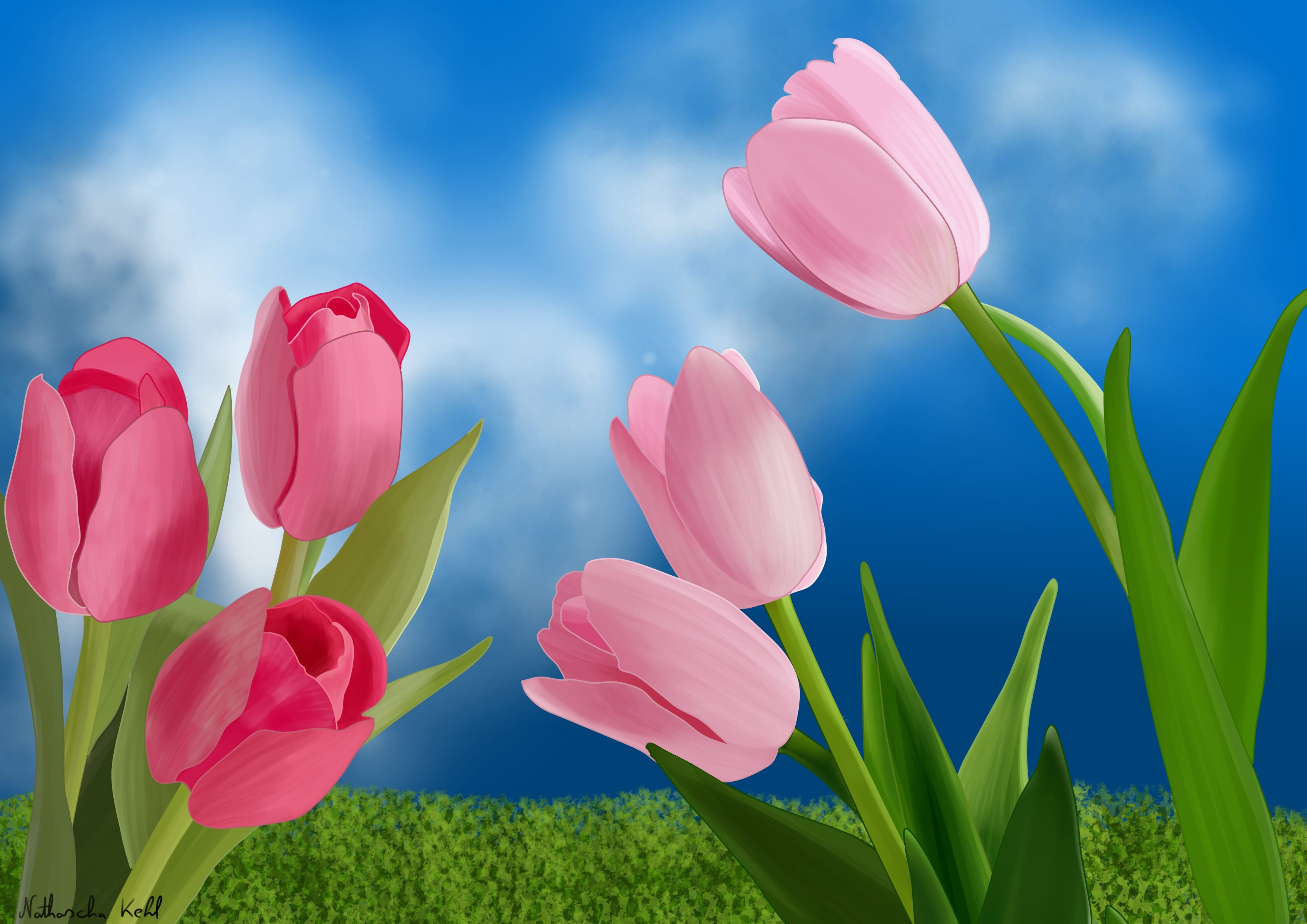 Pink Tulips Nathascha - Illustrations ART street