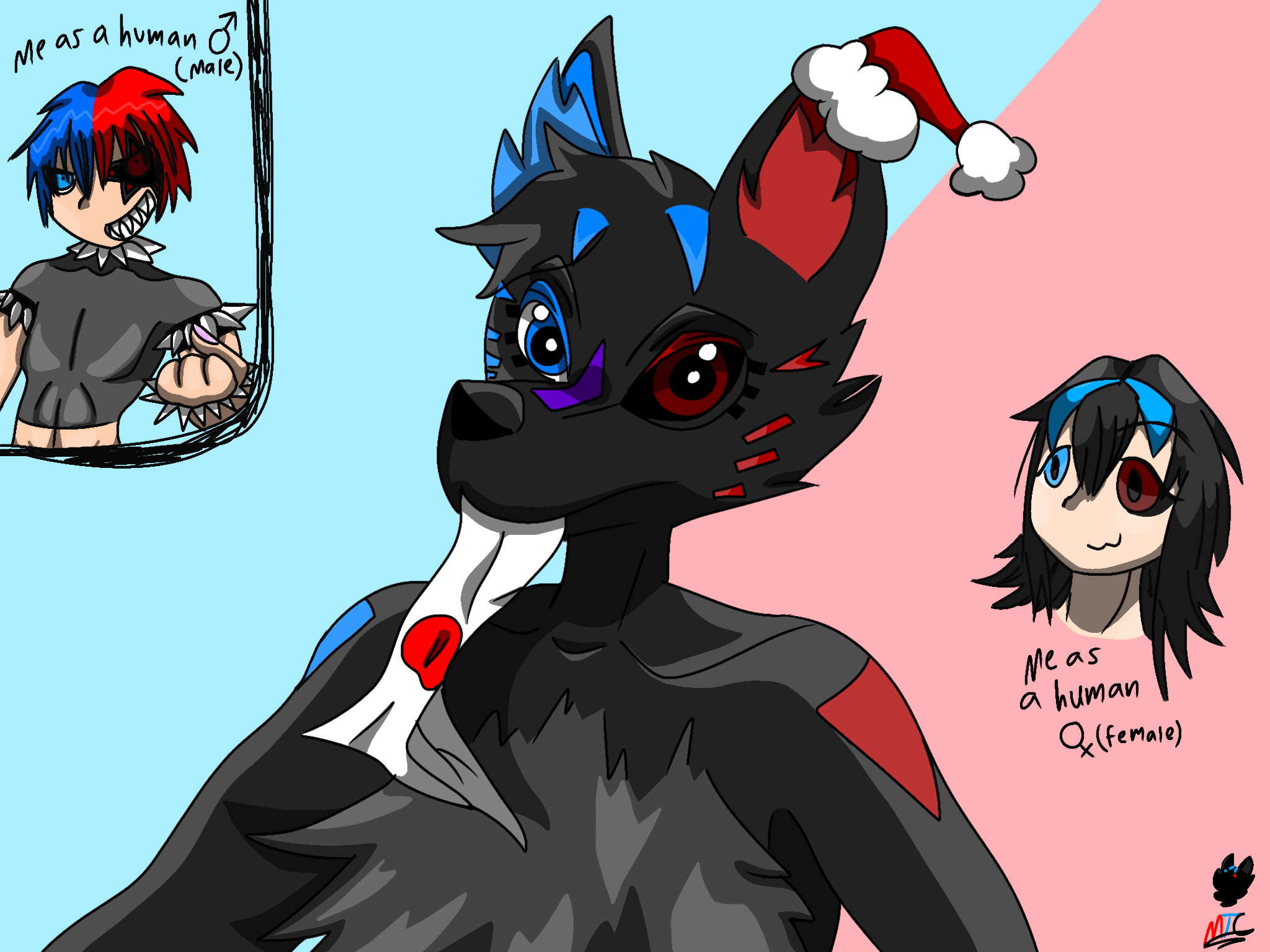 My New Profile Picture MillieTheCoyote - Illustrations ART street