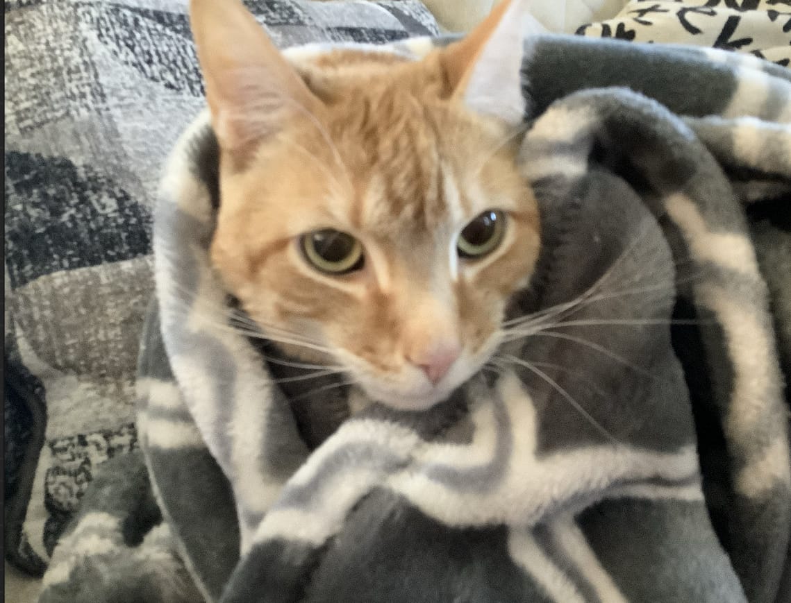 undefined｜Cartoon anime's Topic｜ART street