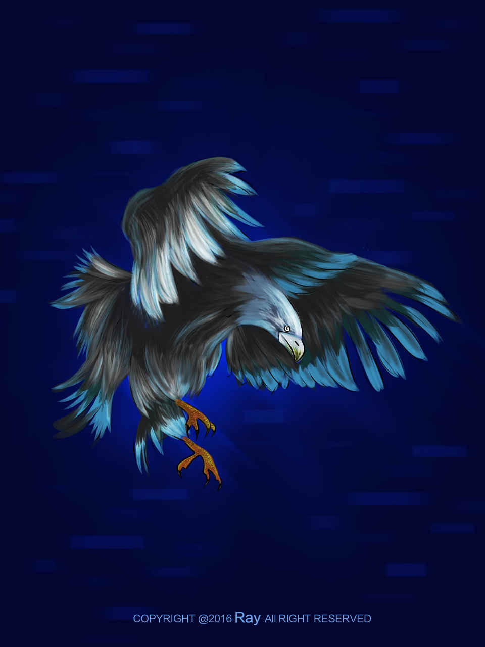 鹰 Ray Hu - Illustrations ART street