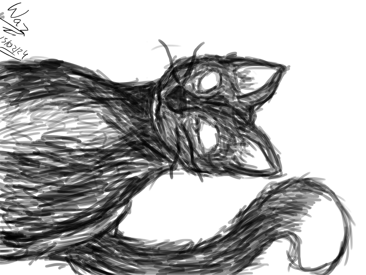 CAT Waz - Illustrations ART street