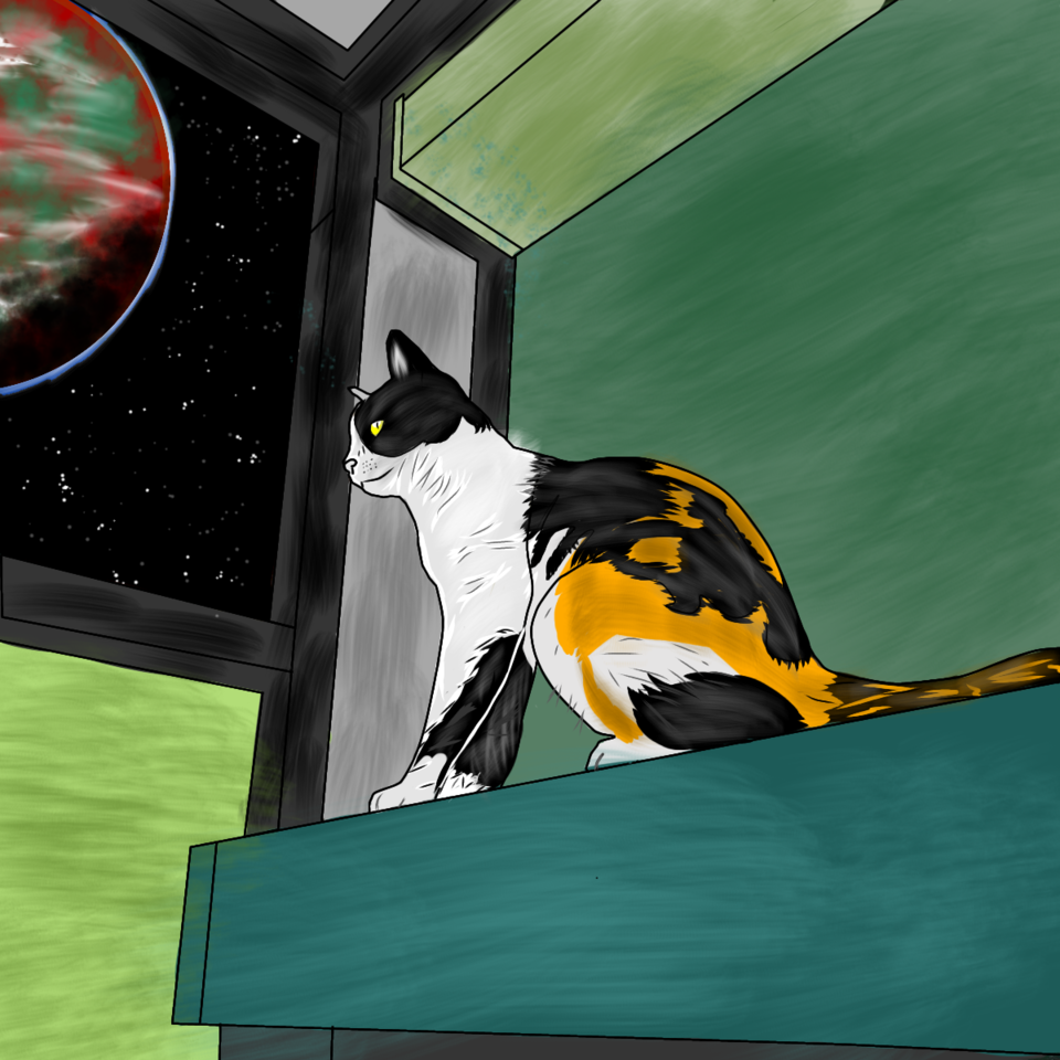 Cat Space 小林 コウ - Illustrations ART street