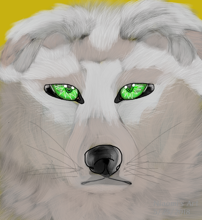 Fango Niaomi's Art(VitalisSavageQueen) - 插图 ART street