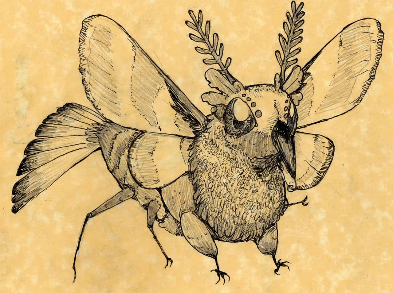 Tetrida, a hummingbird moth creature watercolorheart - 插图 ART street