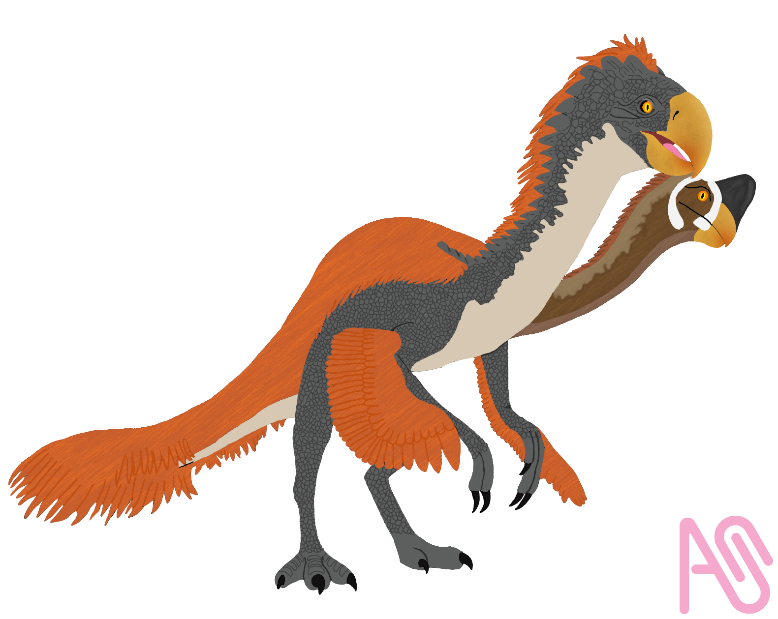 Oviningia (JWA) Hybrid of Ovilenken and Nomingia Shadow Roxy ...