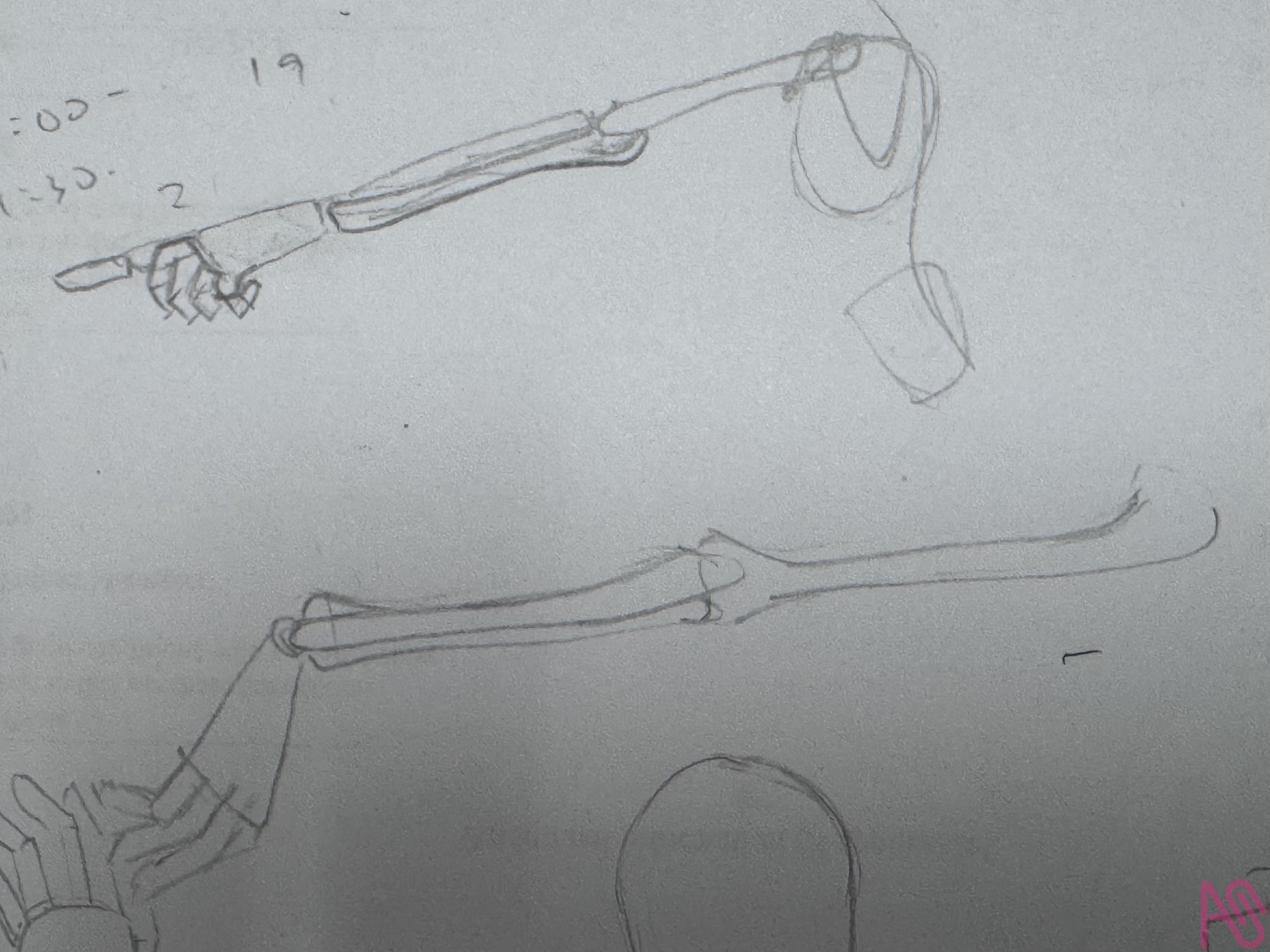 Study of Humerus, Ulna and Radius Andisen - Illustrations ART street