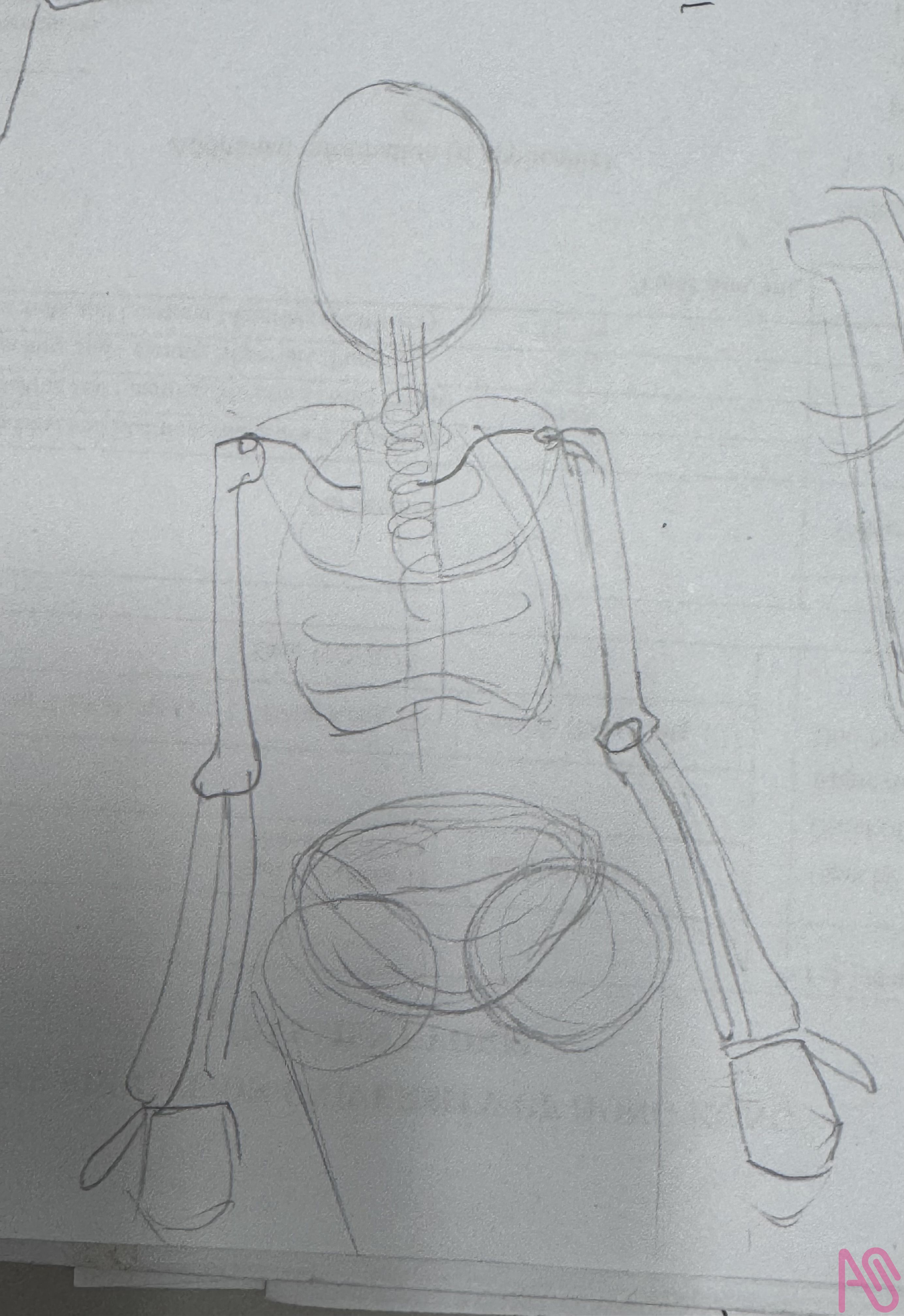 Study of Humerus, Ulna and Radius Andisen - Illustrations ART street