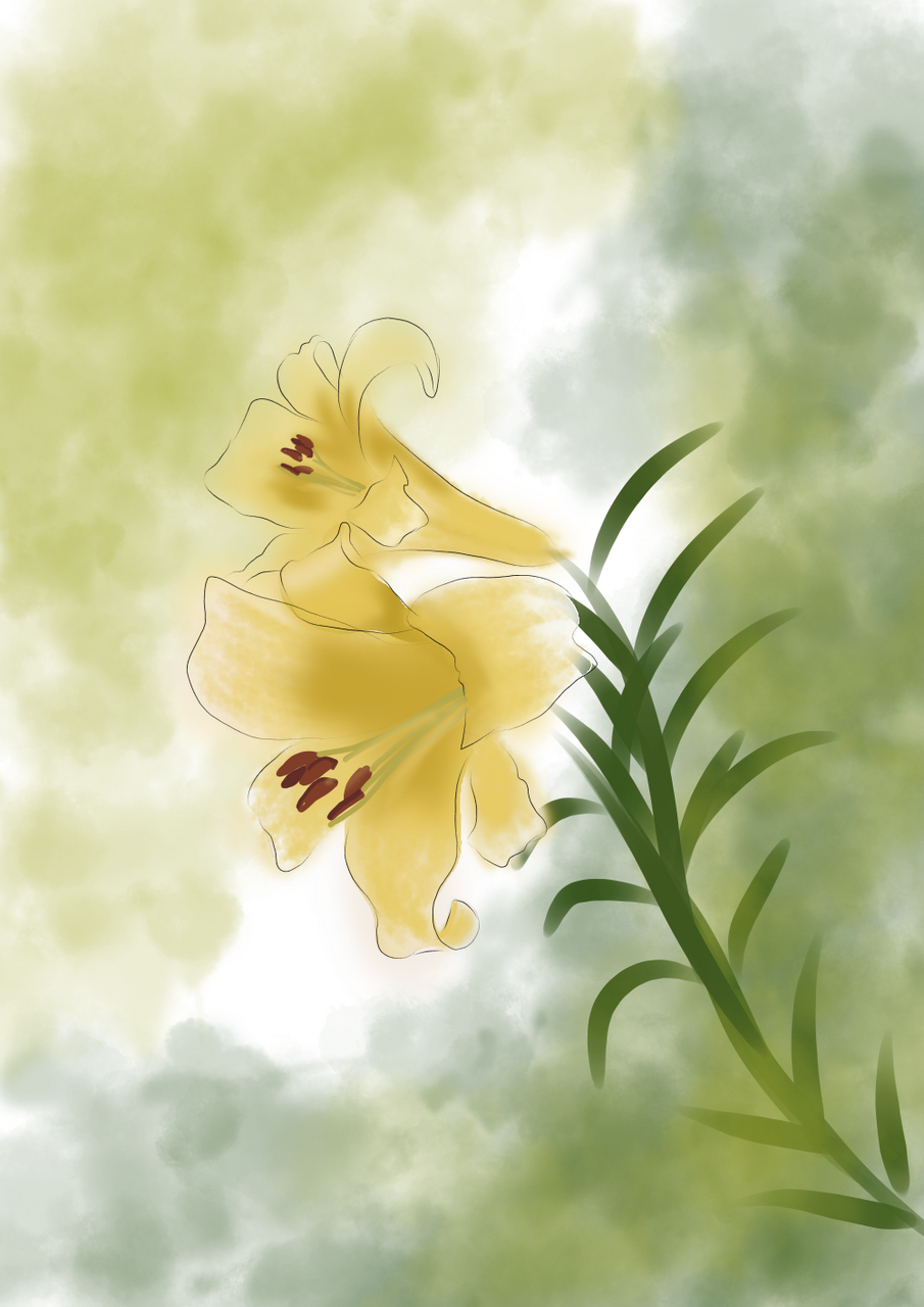 lily cloud - 插图 ART street