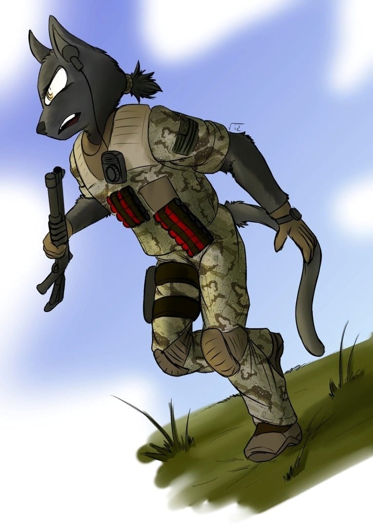 Багира Хук, автор бункер vizelius Danil - Illustrations ART street