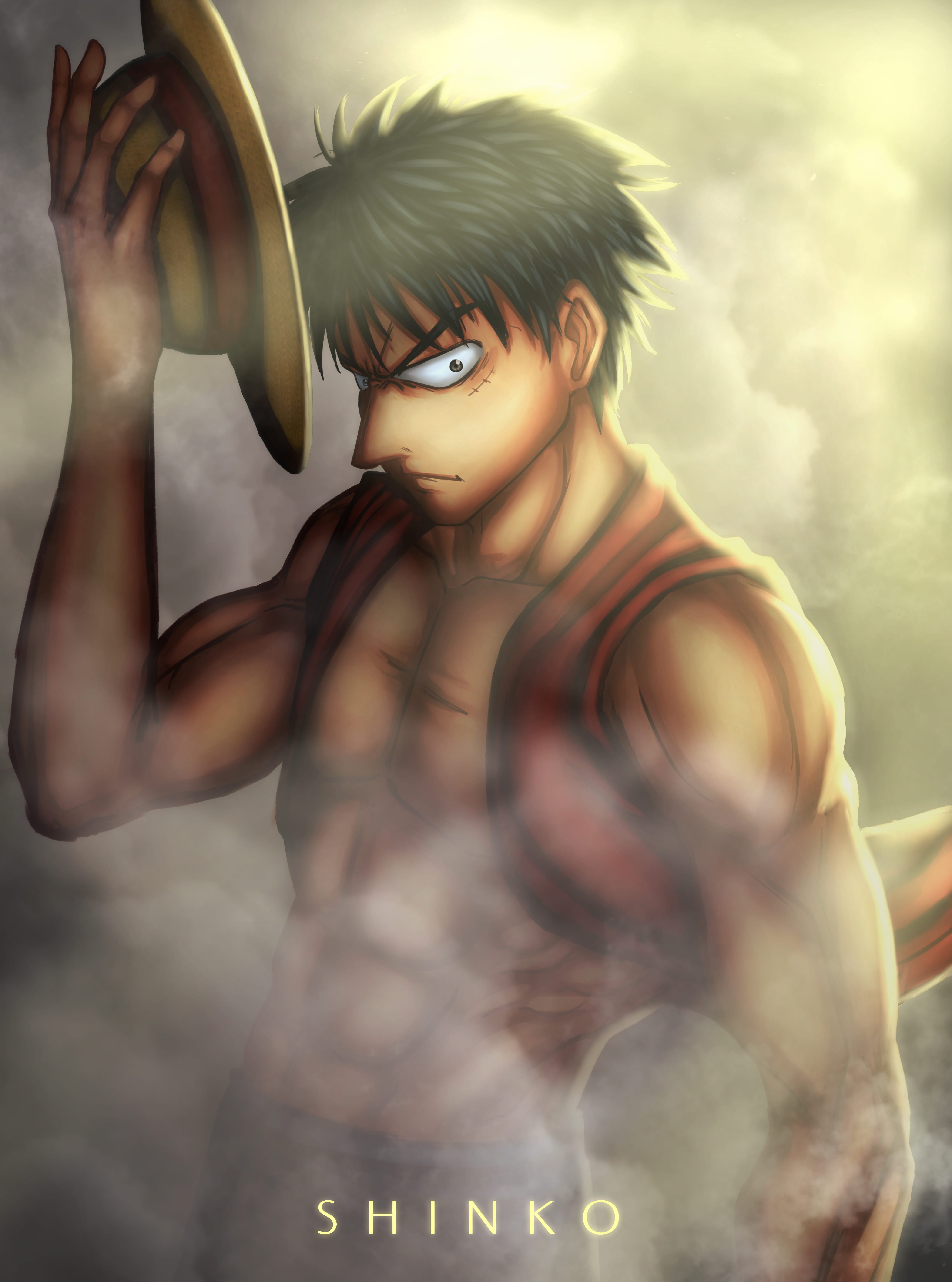 Luffy Rage shinko - Illustrations ART street