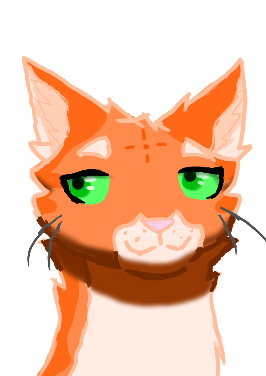 firestar kitten genn - Illustrations ART street