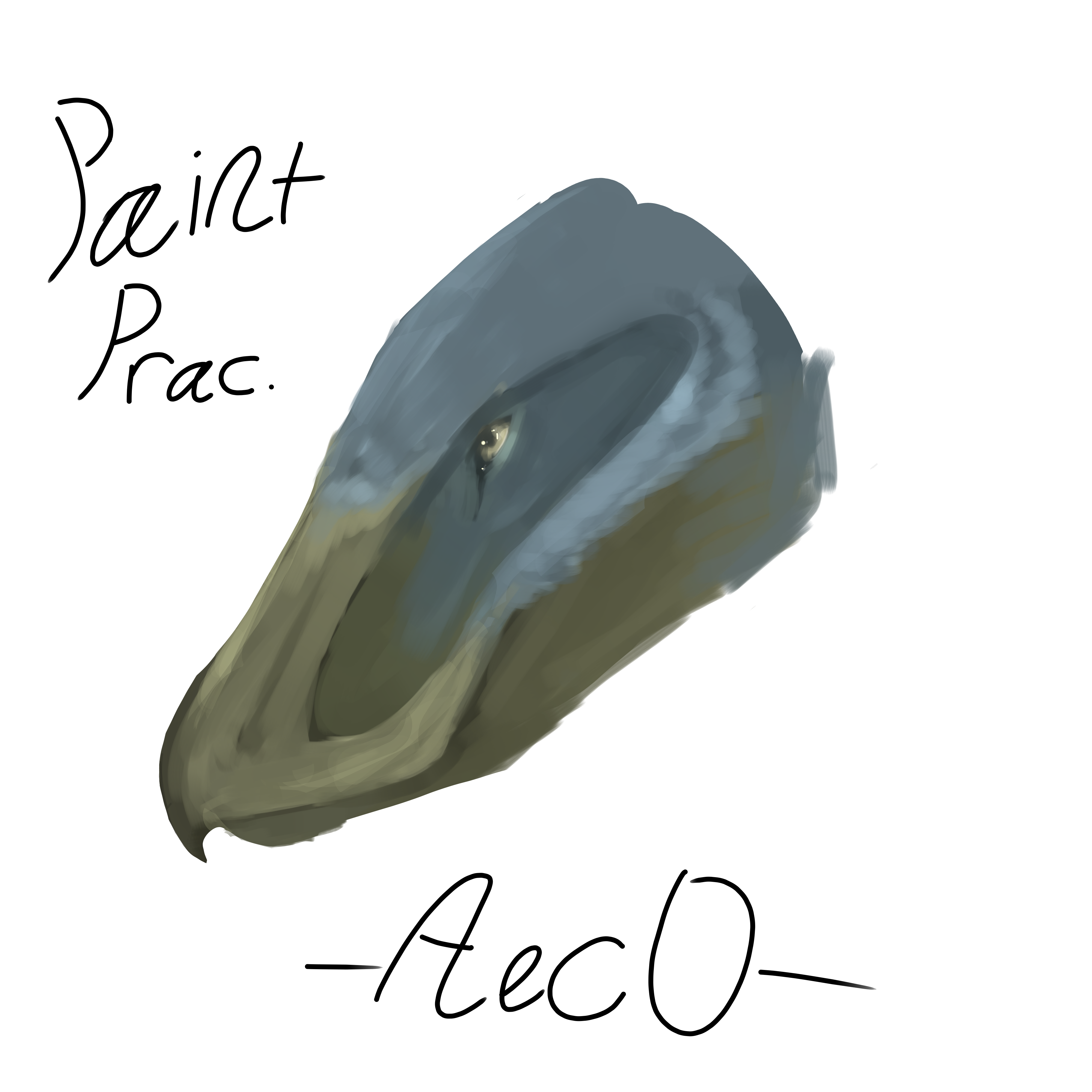 painting prac! -AeCoO- - Illustrations ART street