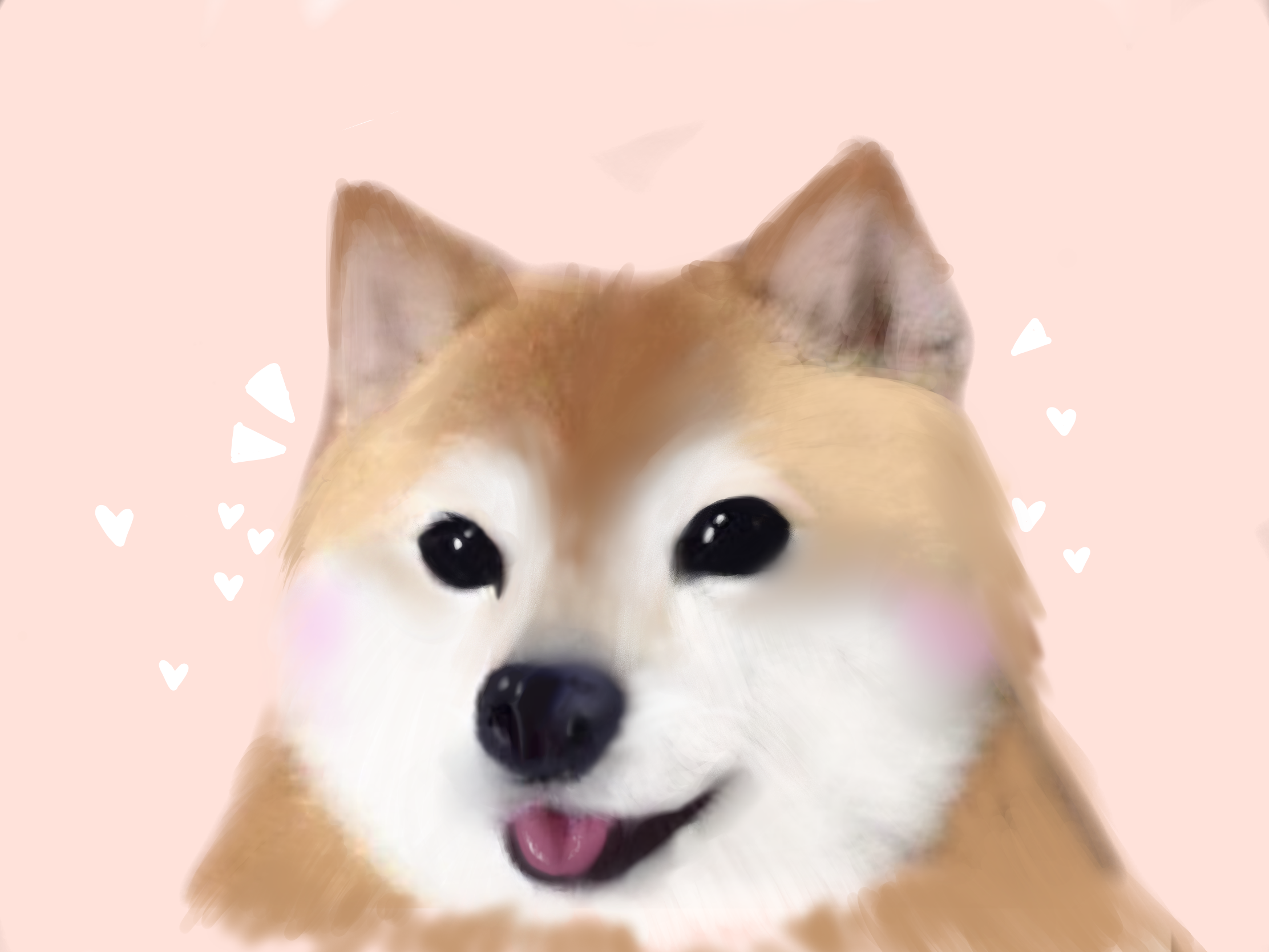 Shiba Zureeal - 插畫 ART street