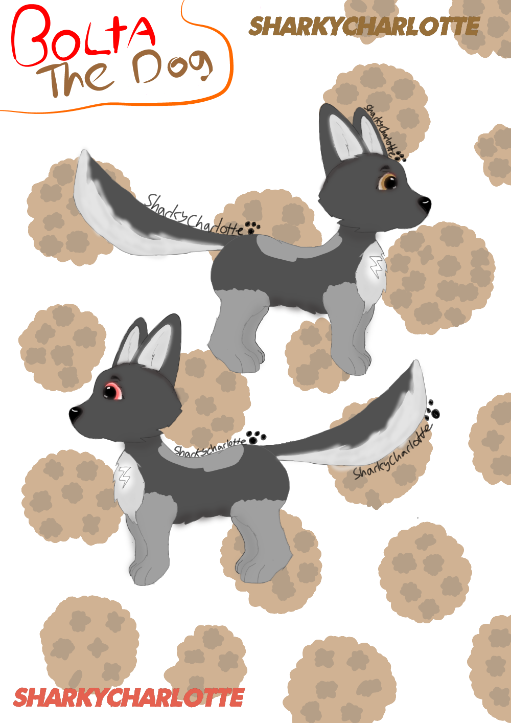 Bolta The Dog Sharkycharlotte - Illustrations ART street