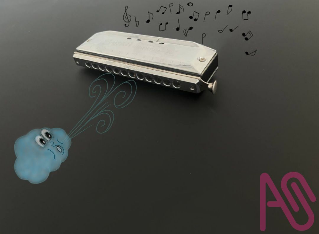 Harmonica maraldelara - Illustrations ART street