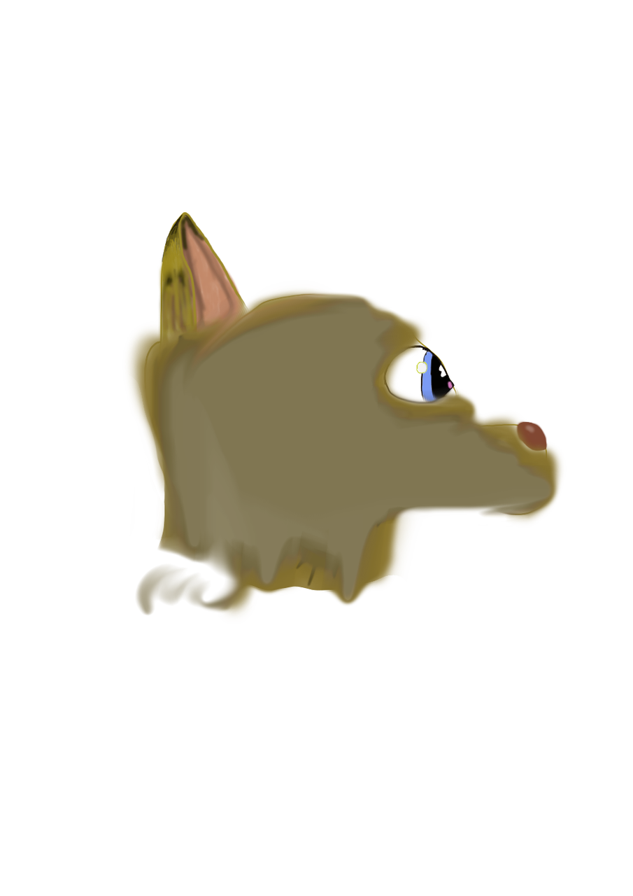 smudgey cat dog. by nylakershaw Nylakershaw@airportschools.com ...