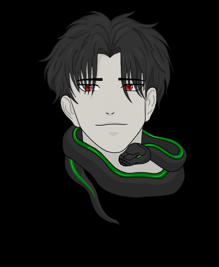 Tom Marvolo Riddle Dracarys - Illustrations ART street