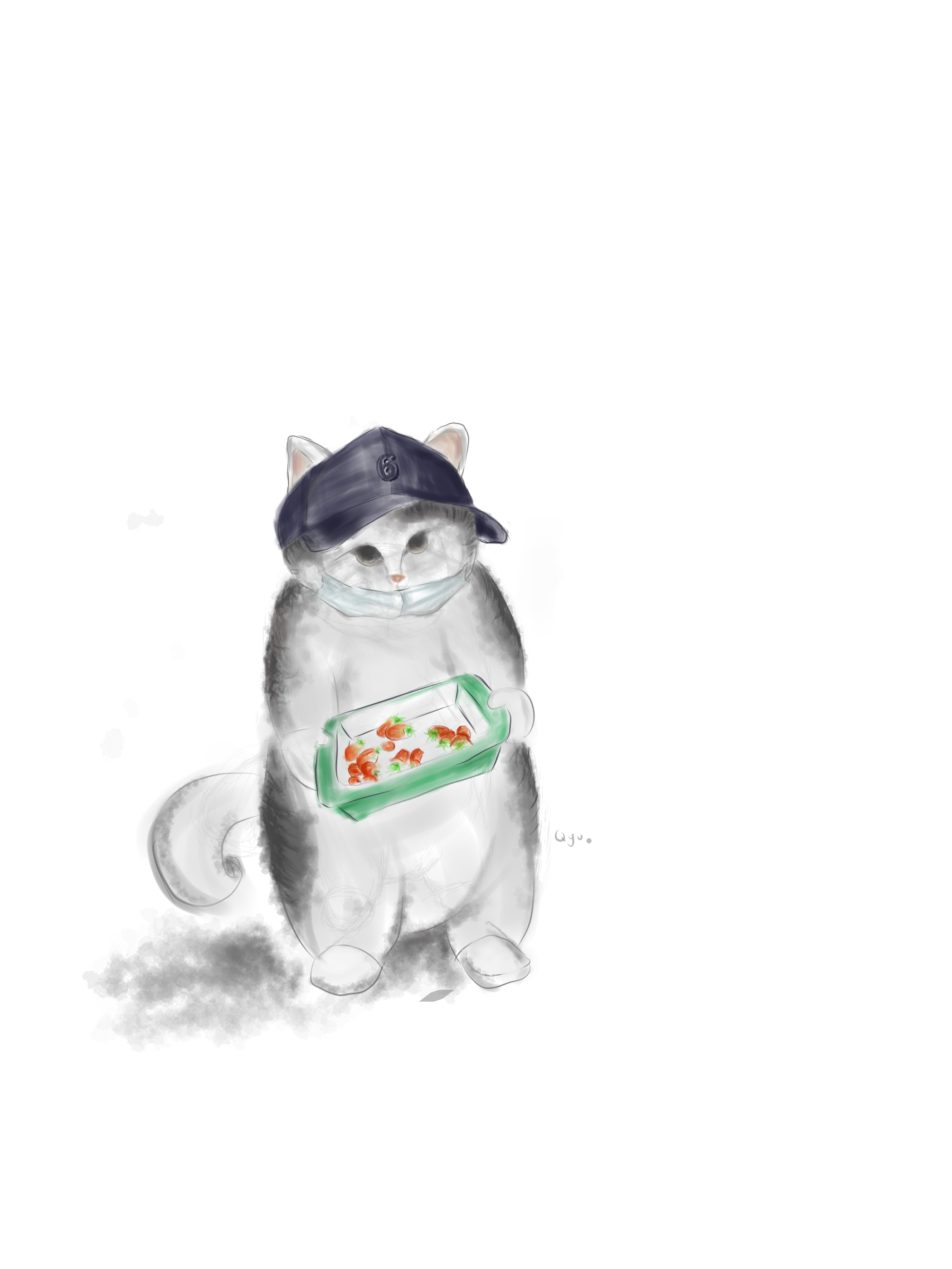 cat suga Quin - Illustrations ART street