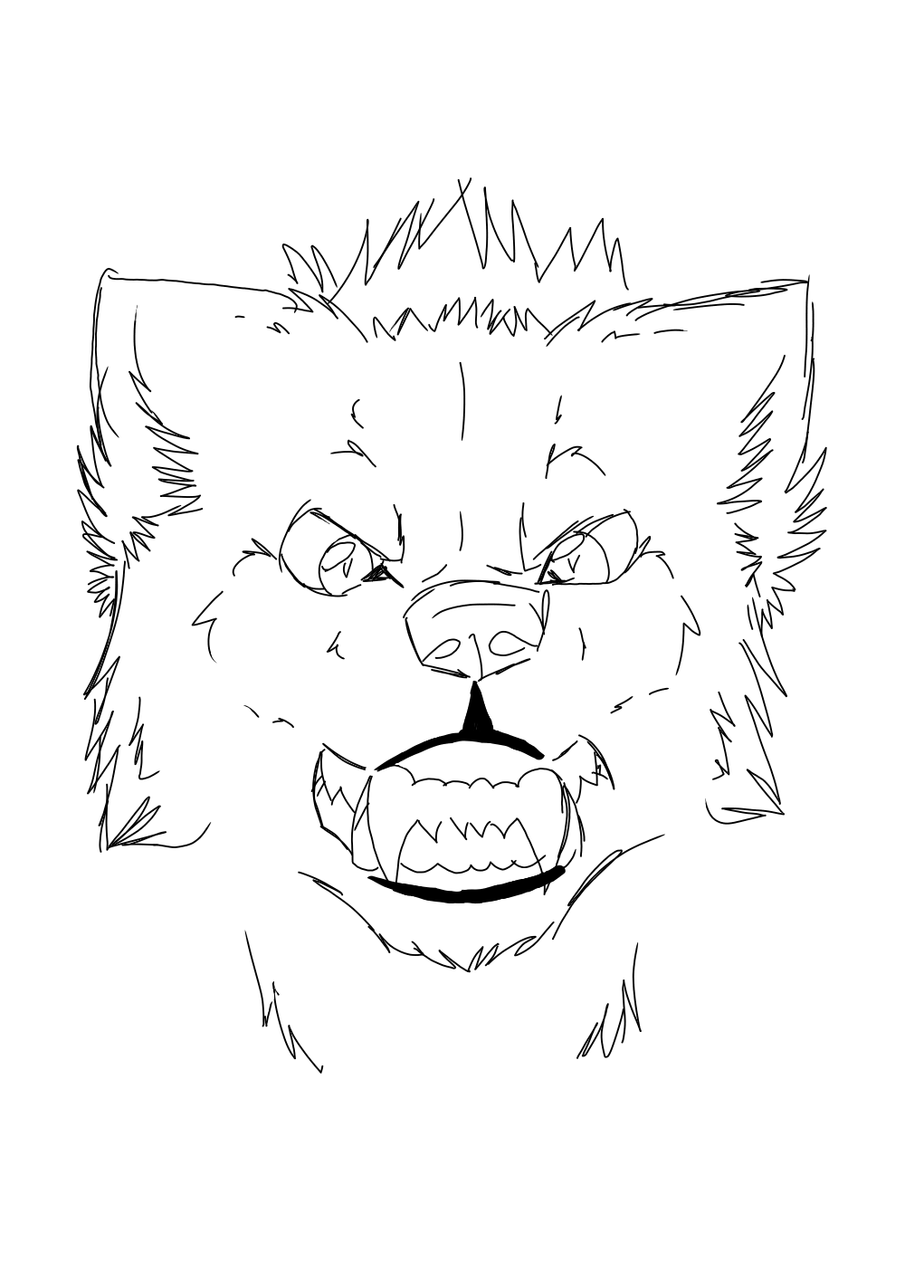 Wolf Koori - Illustrations ART street