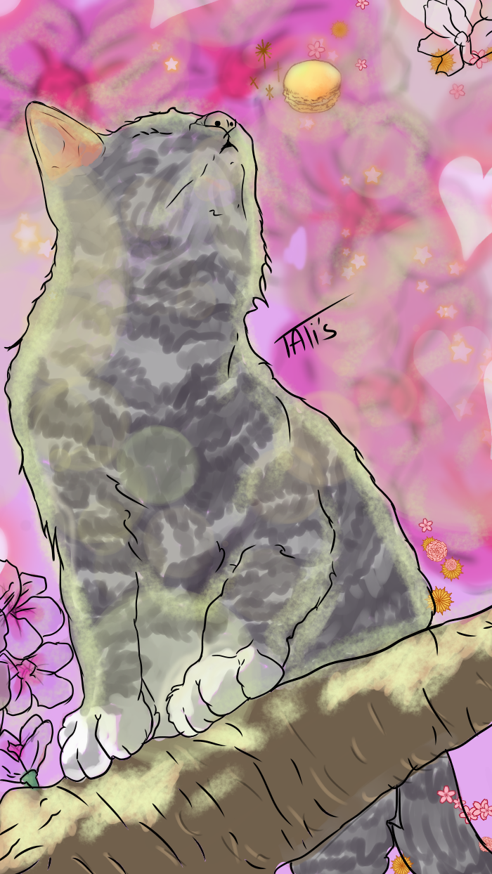 cute cat talibayya - Illustrations ART street