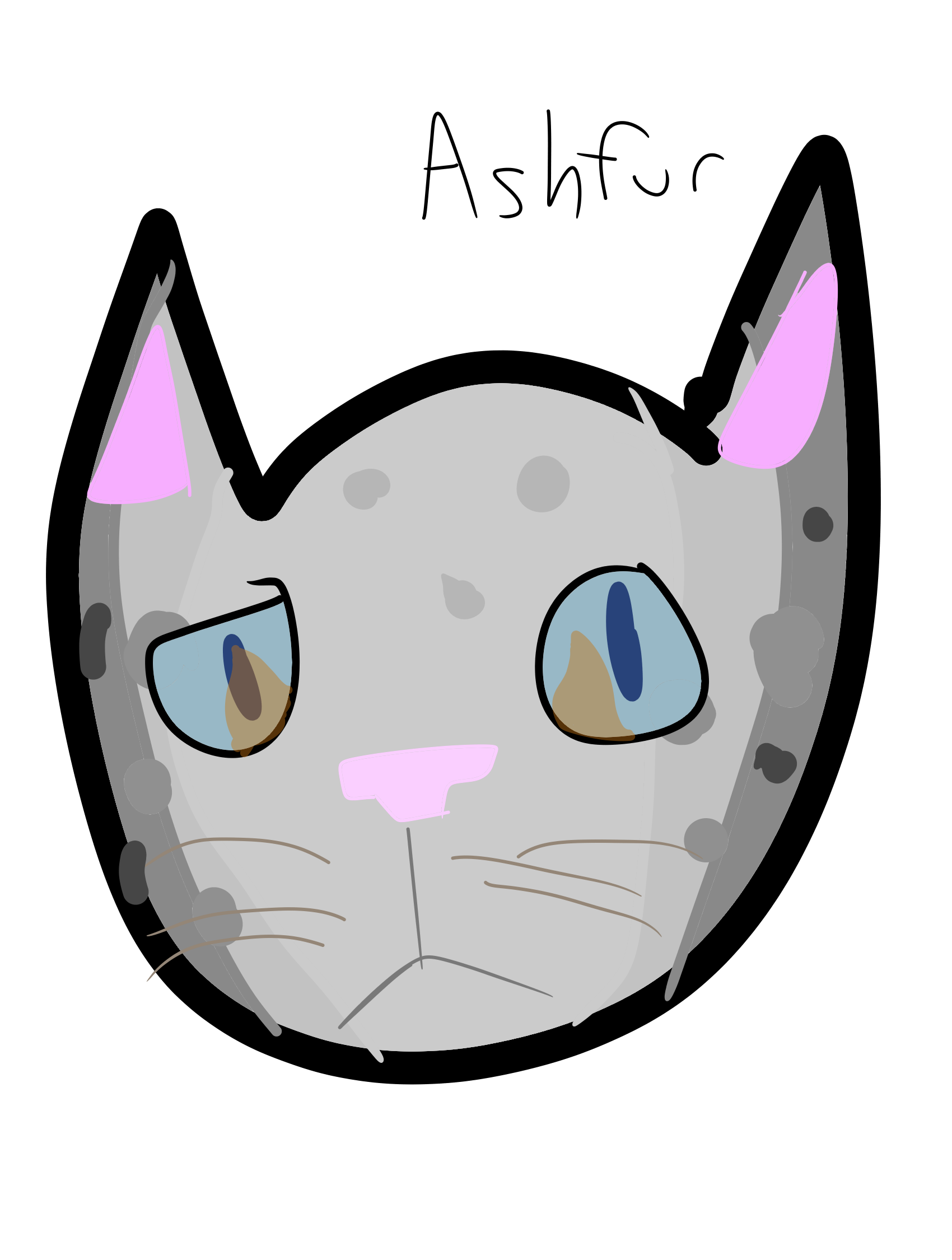 Ashfur abellawolfgirl - Illustrations ART street